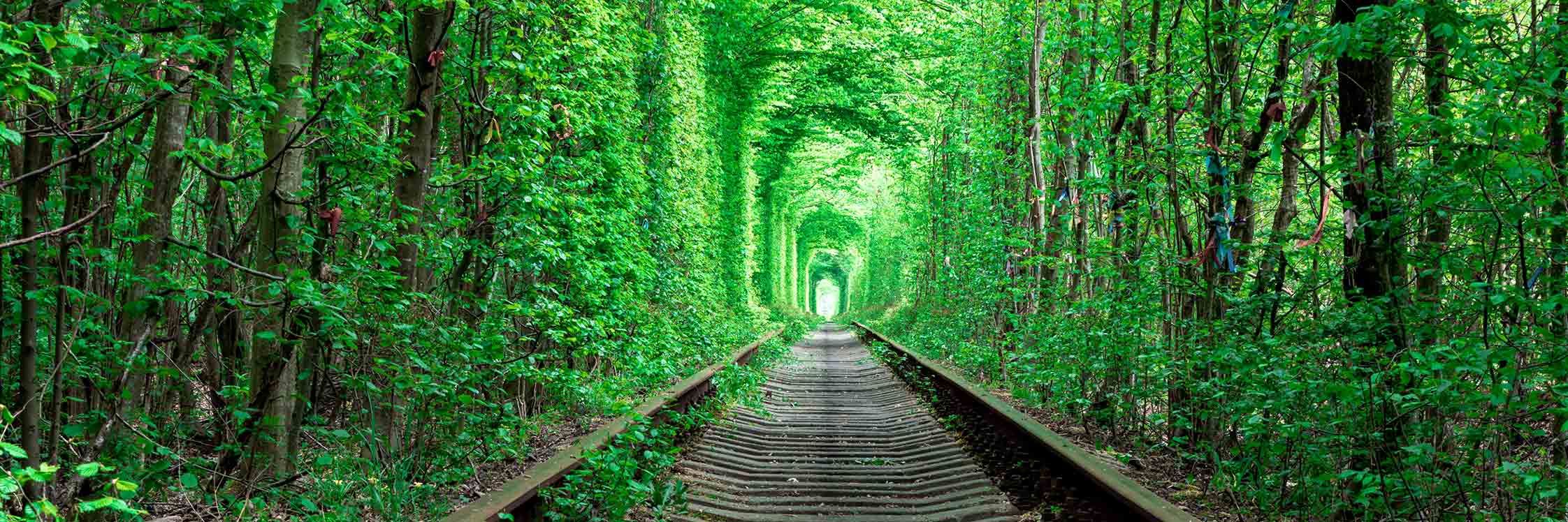 Institutional Investors | Fidelity Institutional